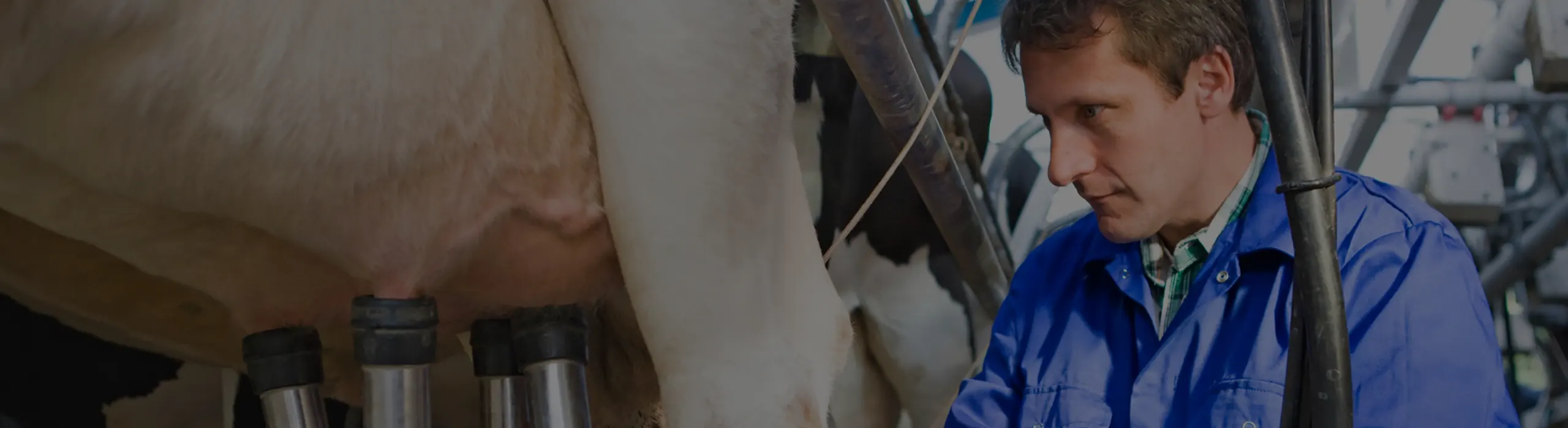 Contact Us | Dairy Direct