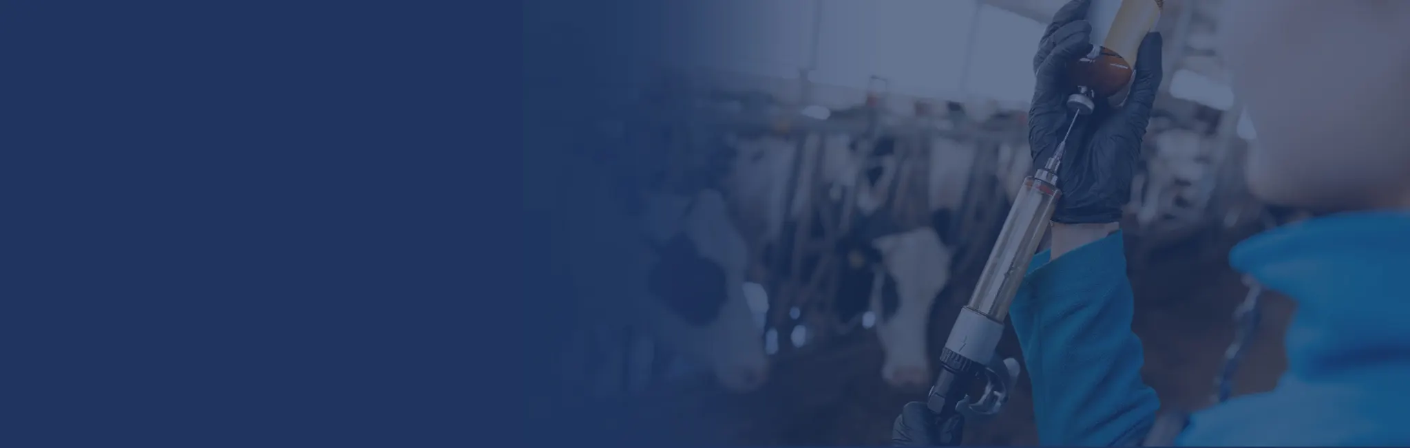 Dairy Accessories | Dairy Direct