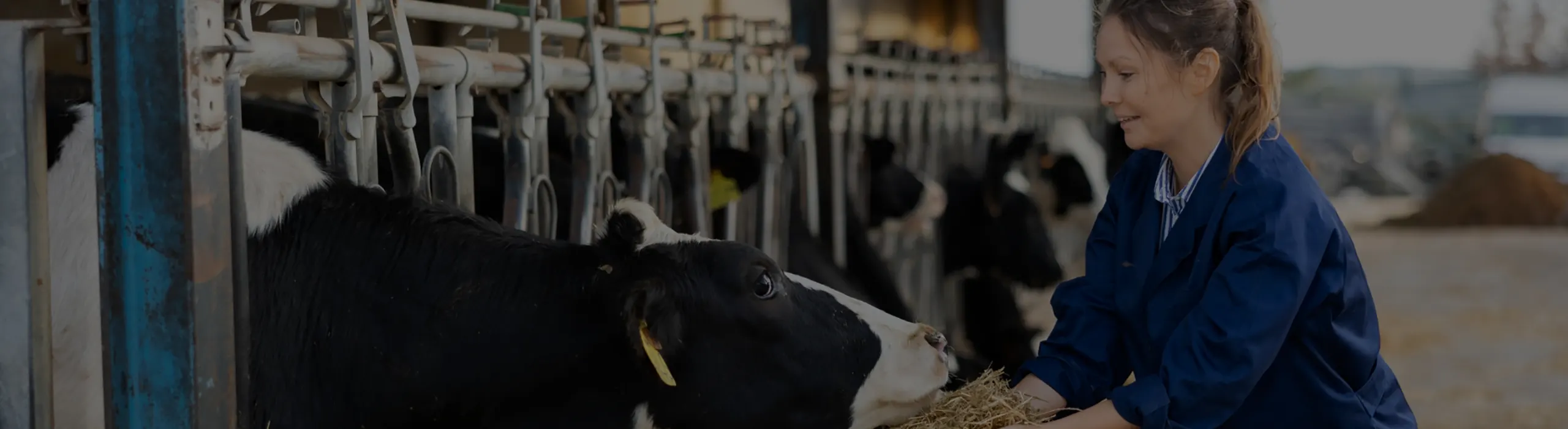 Delivery Policy | Dairy Direct