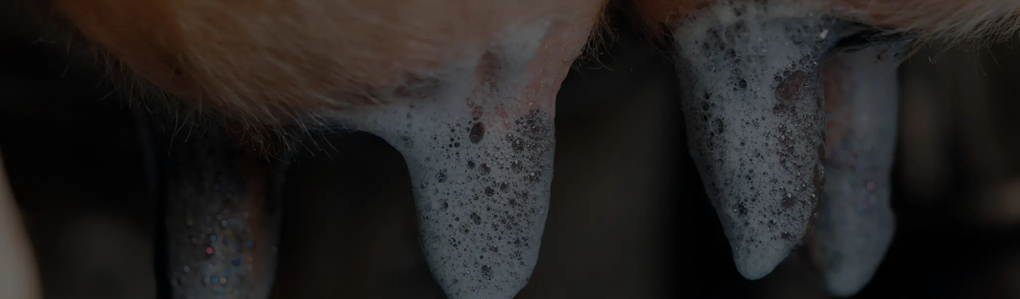 Skin Care Chemistry | Dairy Direct